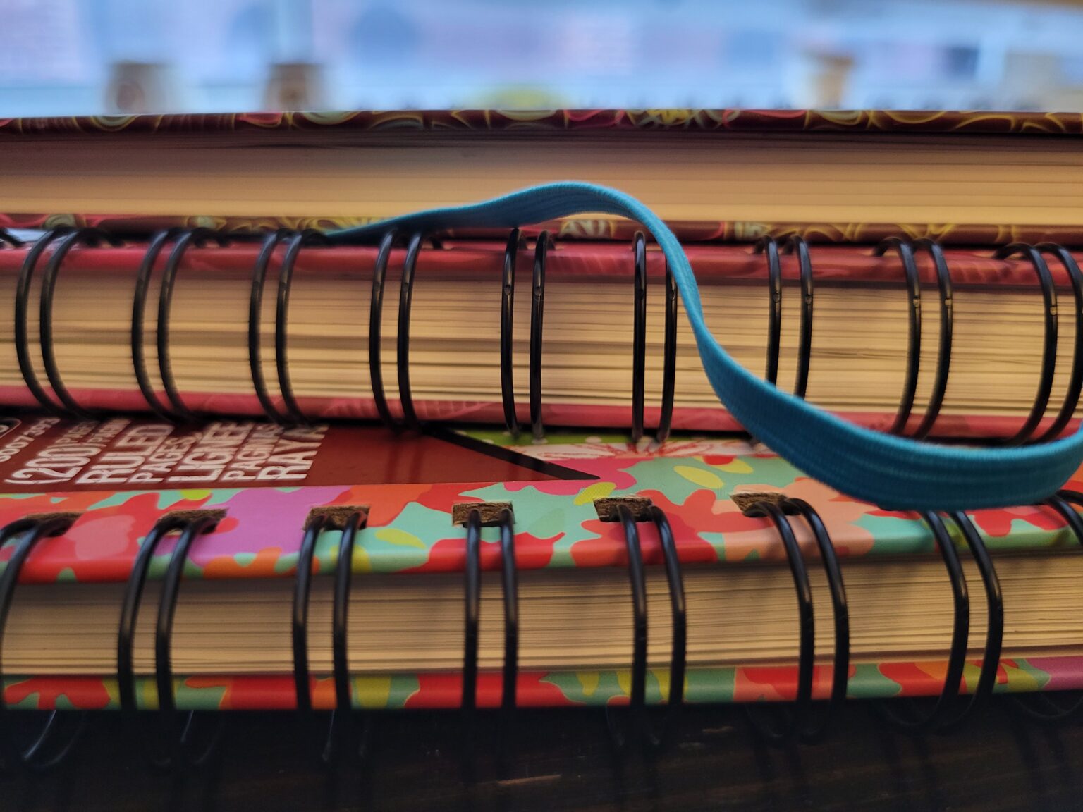 Shawna Caspi - Official website of singer-songwriter Shawna Caspi