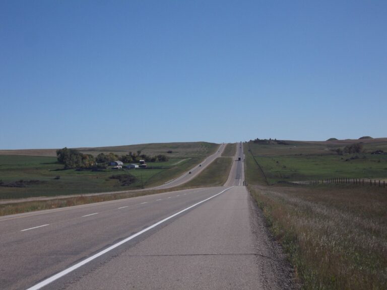 Shawna Caspi - Official website of singer-songwriter Shawna Caspi